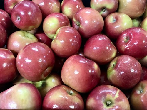 Apple Availability - Gays Mills, WI | Sunrise Orchards, Inc.